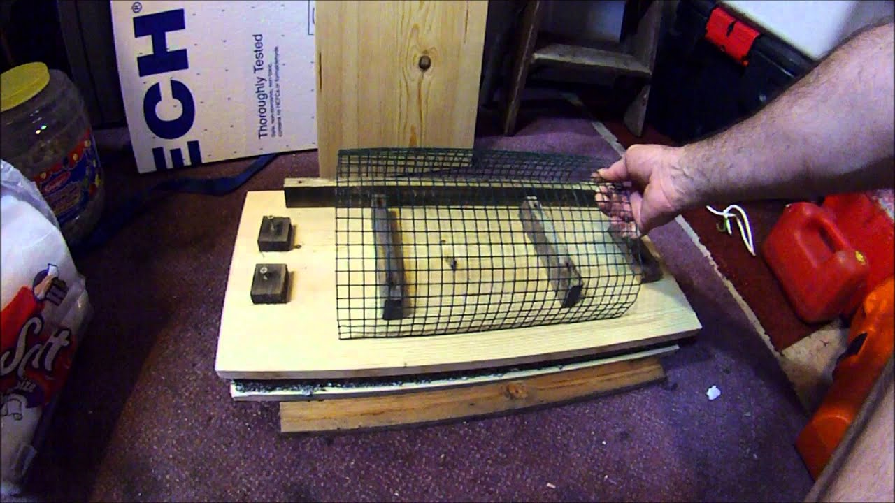 How to Make My Muskrat Float - YouTube