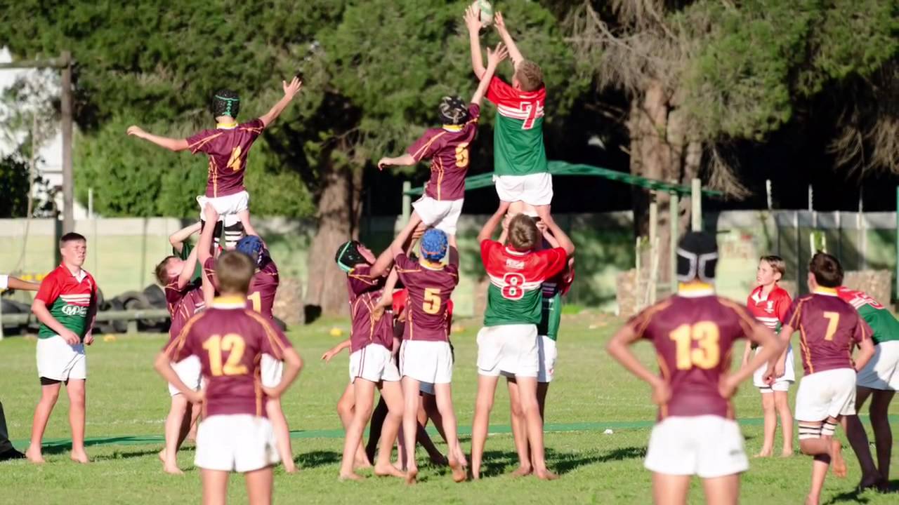 Stellies Tigers - YouTube