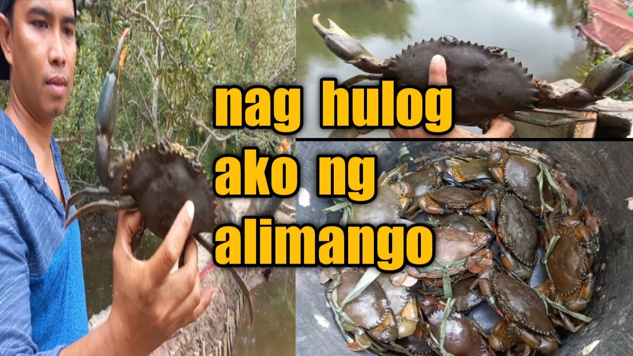 Naghulog ng alimango - YouTube