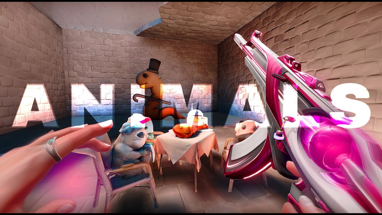 Animals🐕 - Valorant Montage - YouTube