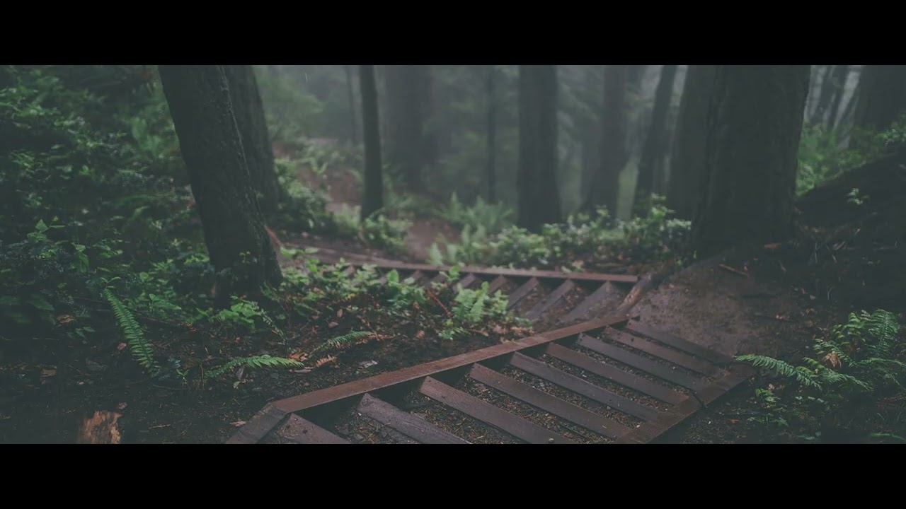 Ultrawide 4K Live Wallpapers | 3440x1440 Desktop Loops - Lively ...