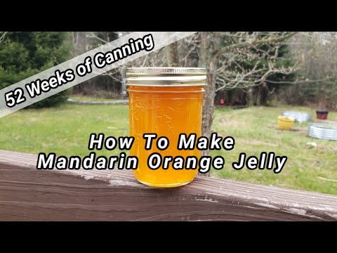 Mandarin Orange Jelly   52 Weeks of Canning