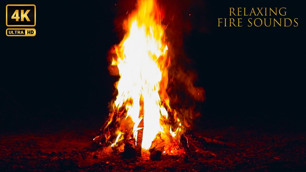 Campfire Sounds 🔥 EnJoy Camping Ambience 4K with Gentle Fire Sounds ...