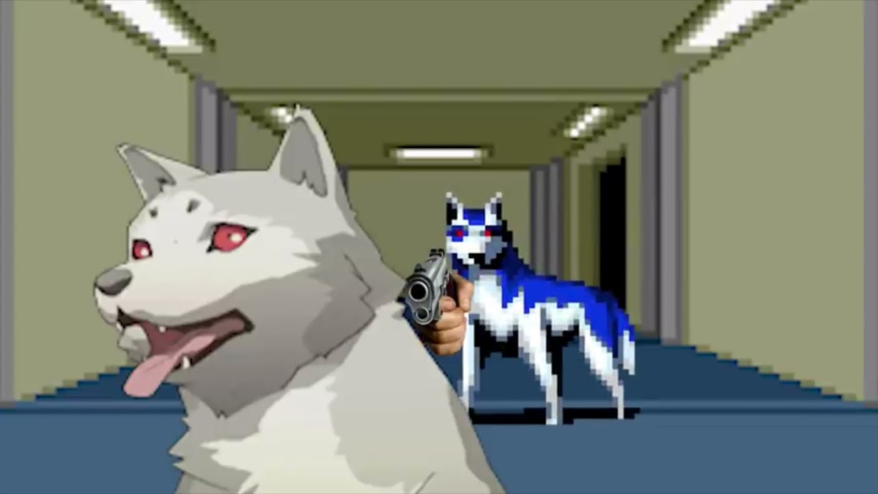 Pascal the dog wants vengeance - YouTube