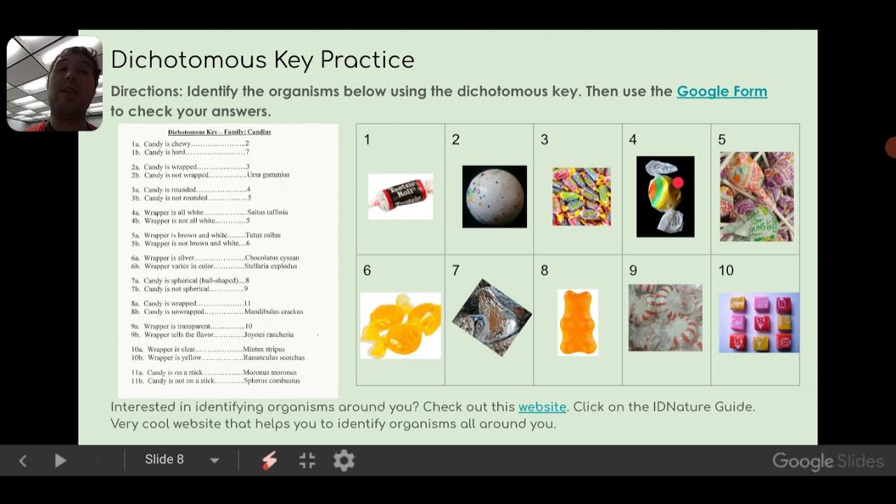 Candy Dichotomous Key - YouTube