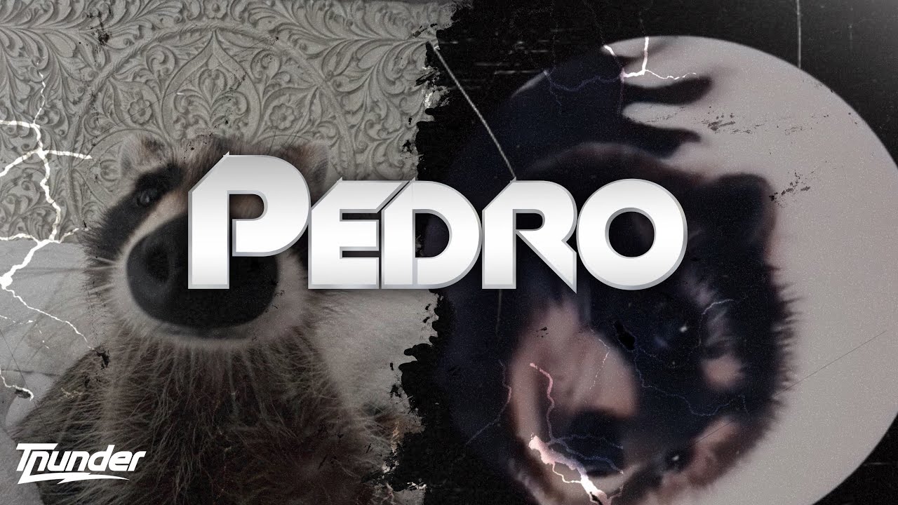 Pedro, Pedro, Pedro pe - Raffaella Carrà (Song TikTok mapache) (lyric ...