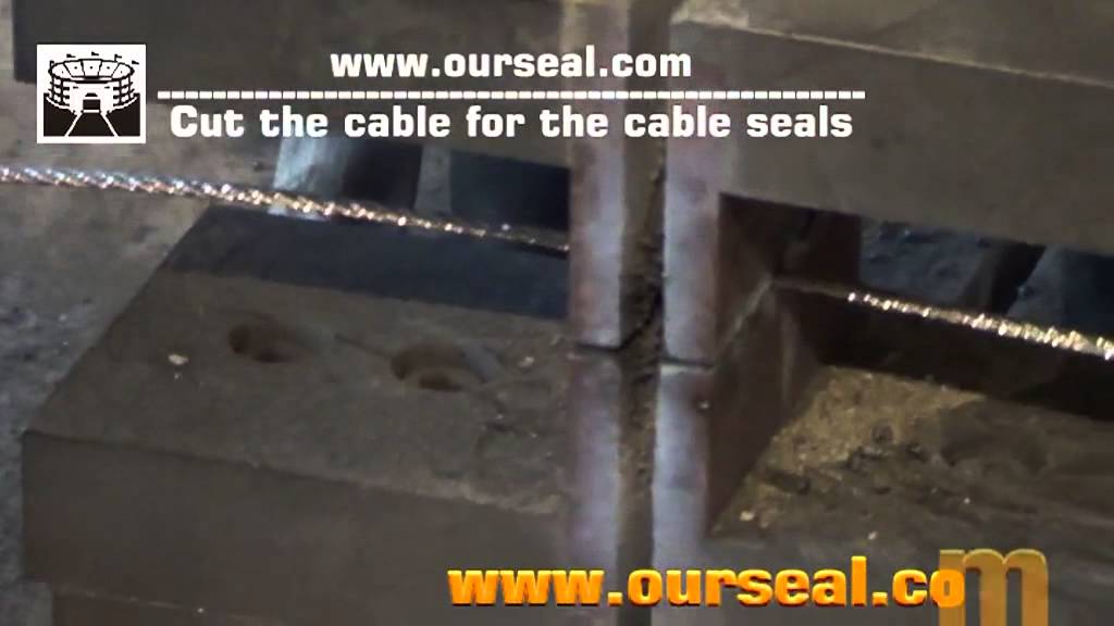 Cut the cable for the security seals-cable seals. the diameter is 1.5mm ...