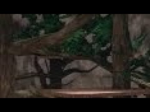 lil bit of a video of the OBN clan (ft.merks) - YouTube