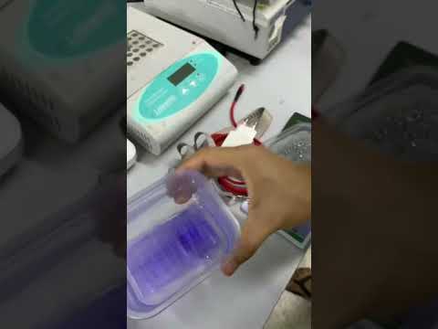 Lab Bioteknologi Chulalonkorn University , Bangkok, Thailand