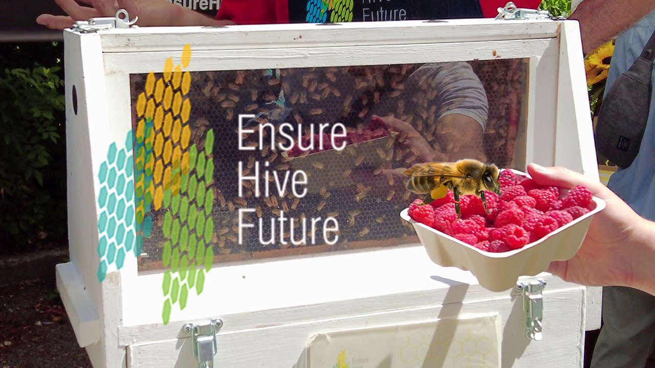 Ensure Hive Future ~ Honey Bees - YouTube