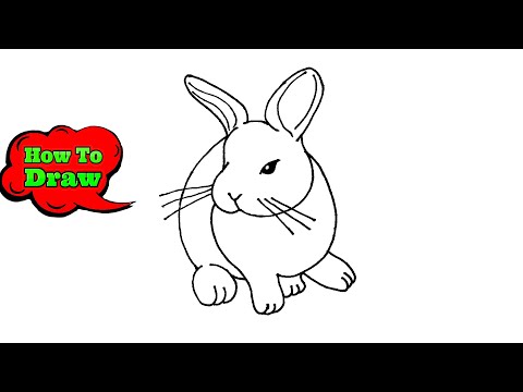How To Draw A Bunny Easy Step By Step For Beginners - YouTube