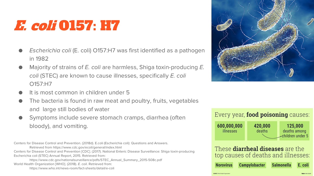 E Coli Powerpoint part 1 - YouTube