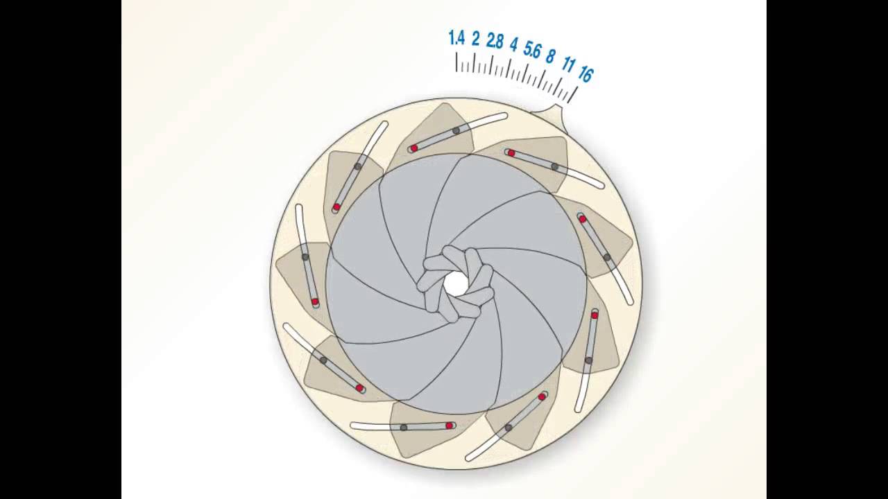 Animation 2 : photographie et diaphragme - YouTube