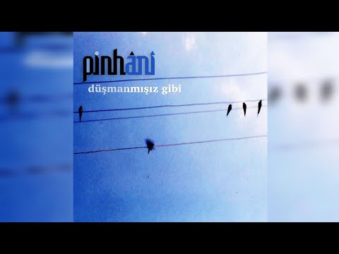 Pinhani Düşmanmışız Gibi albüm kapakları 