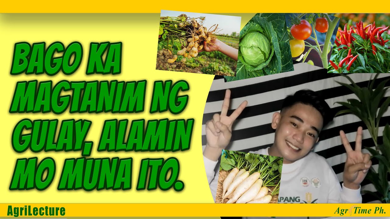 ANG PAMILYA NG MGA GULAY | Mga Dapat Malaman Bago Magtanim ng Gulay ...