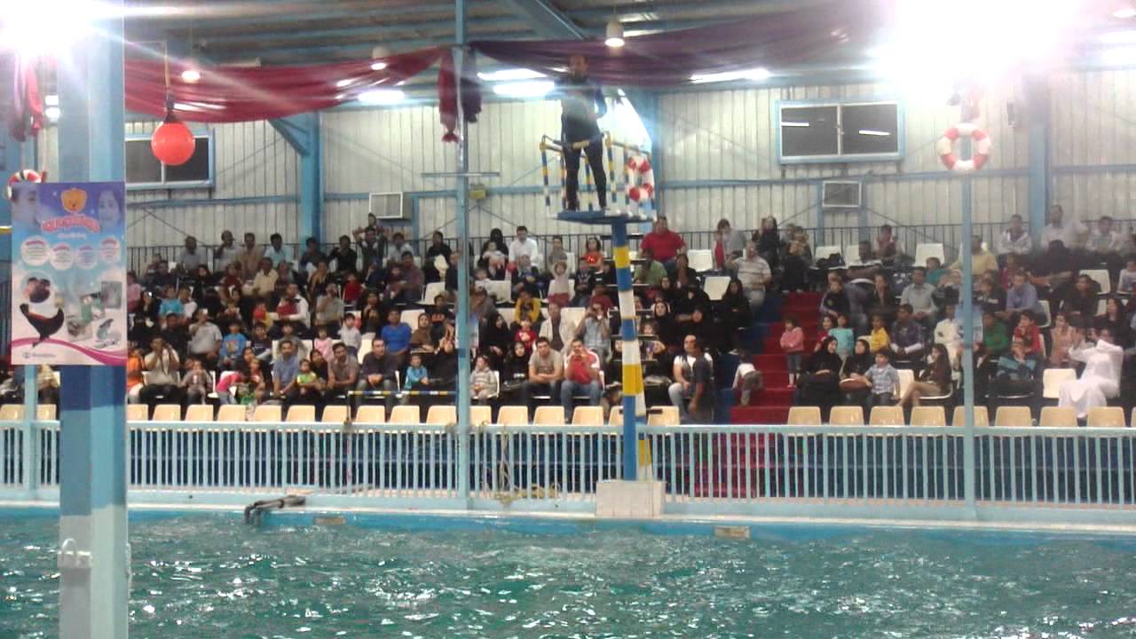 dolphin show in riyadh part4 - YouTube