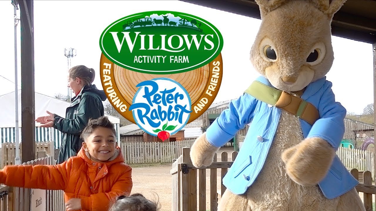 Willows Activity Farm. Children’s Farm - YouTube