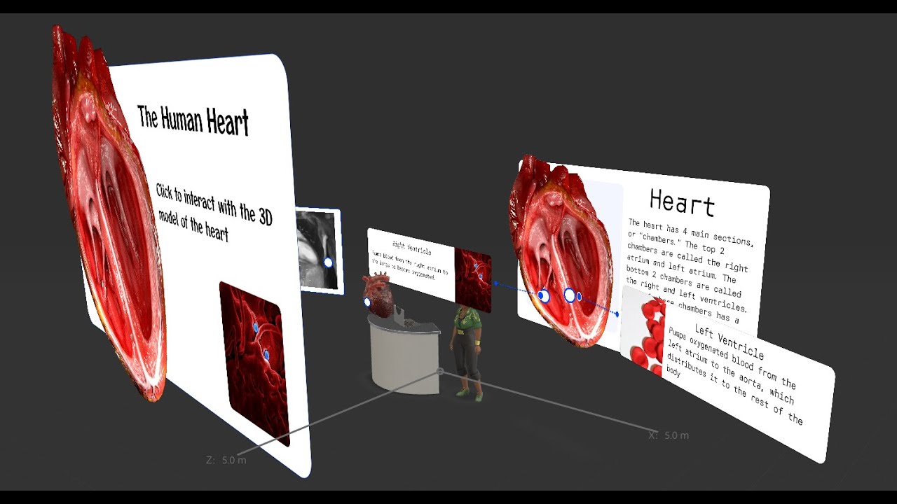 AR heart Demo - YouTube