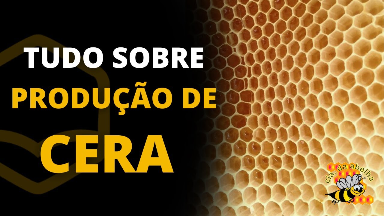 PRODUÇÃO DE CERA - Tudo o que você precisa saber para faturar muito com ...
