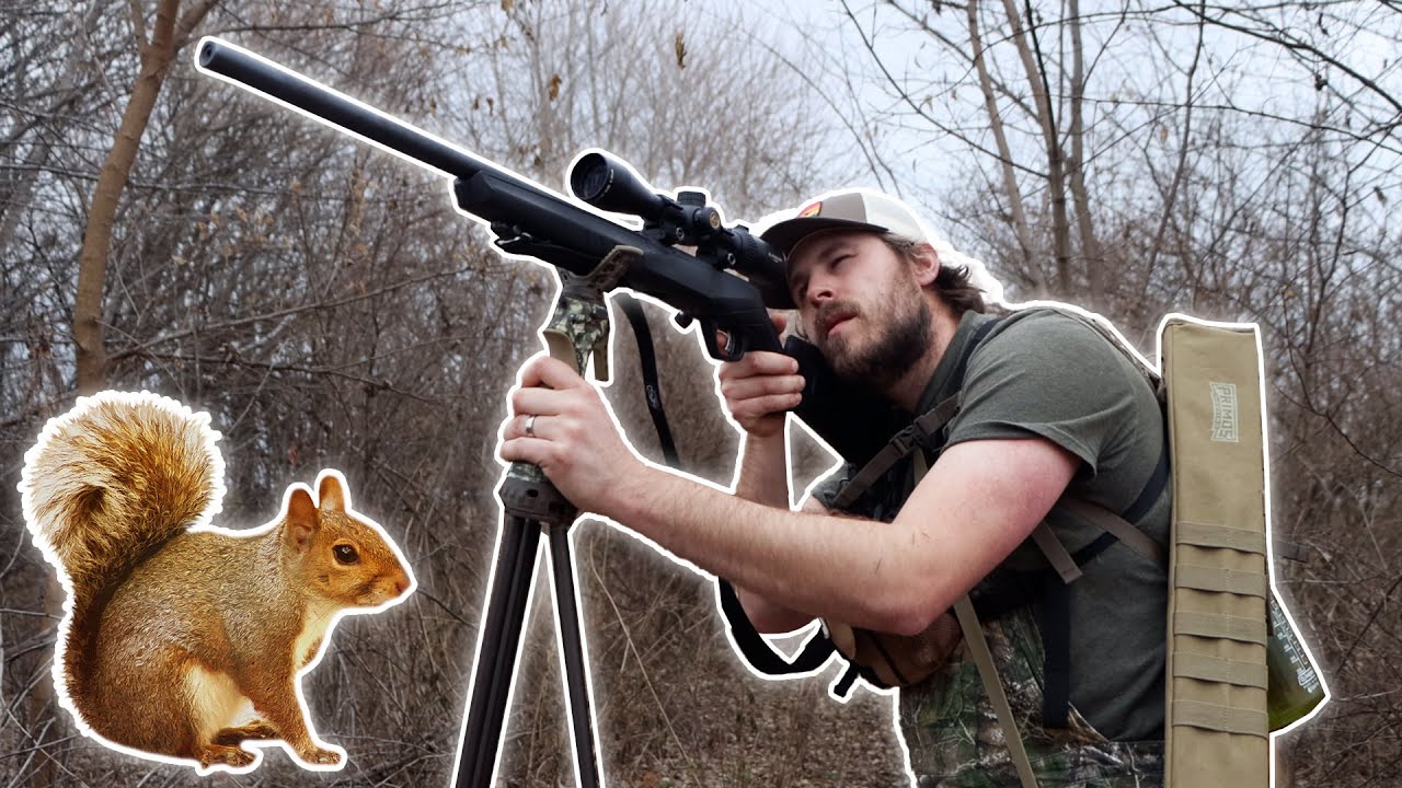 Squirrel Hunting: The Most Fun You Can Have With Your Pants On - YouTube