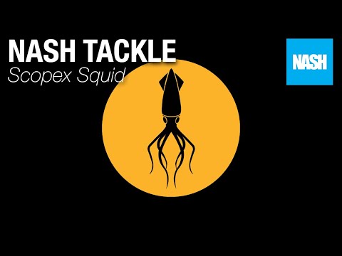 Carp Fishing Bait - Scopex Squid
