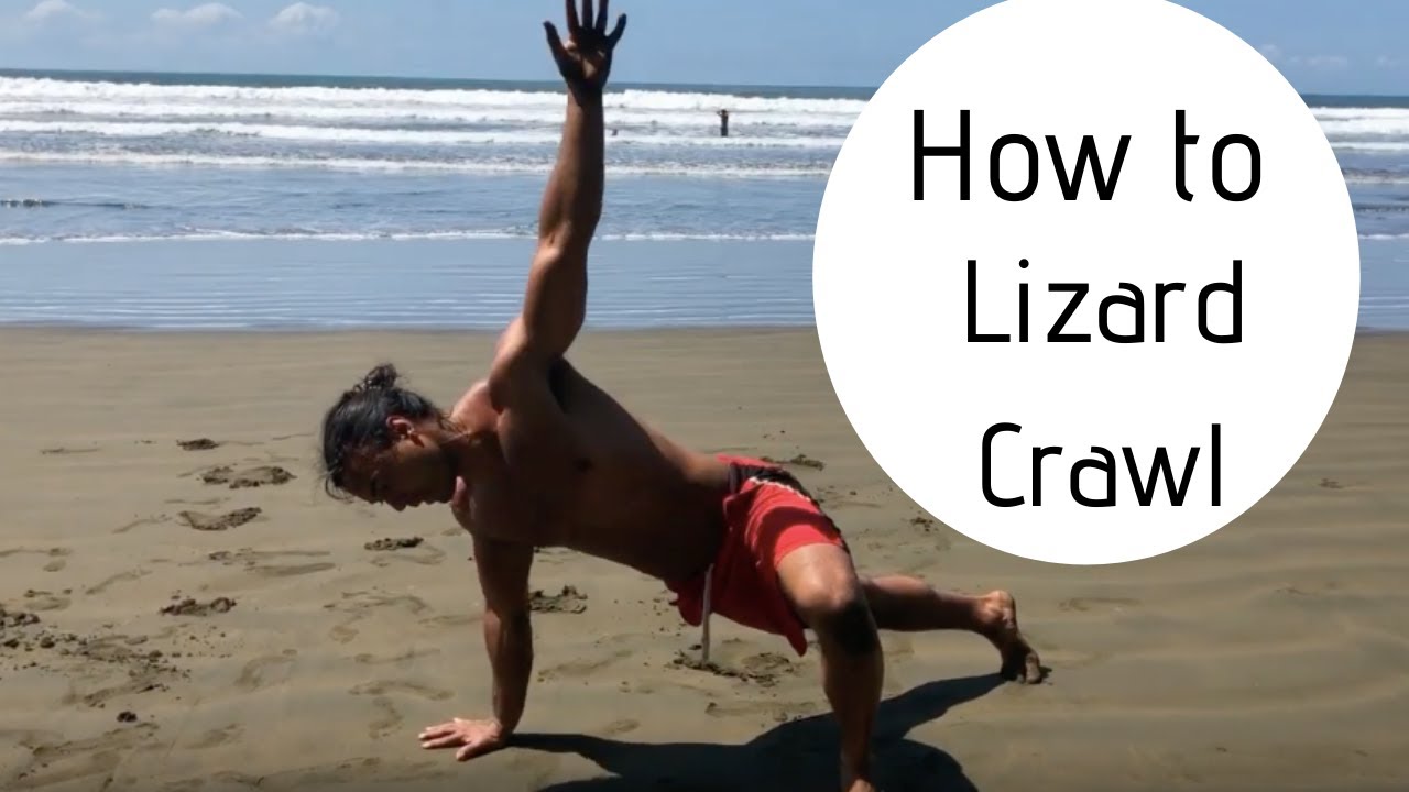 Movement Practice - Lizard Crawl progression - YouTube