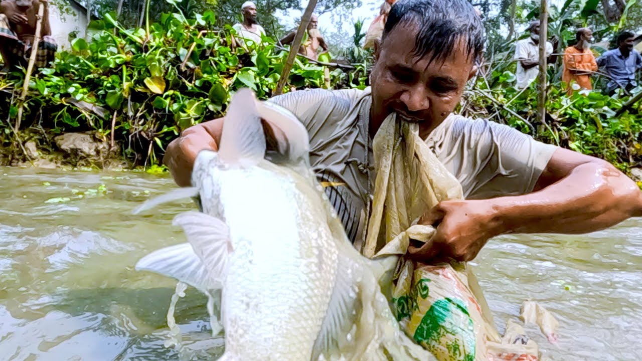 The World Most Amazing Festival Polo Fishing Video In Bangladesh ...