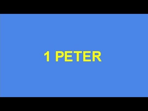 DAY 1128 1 PETER CHAPTER 5:1-4 (FEED THE FLOCK) - YouTube