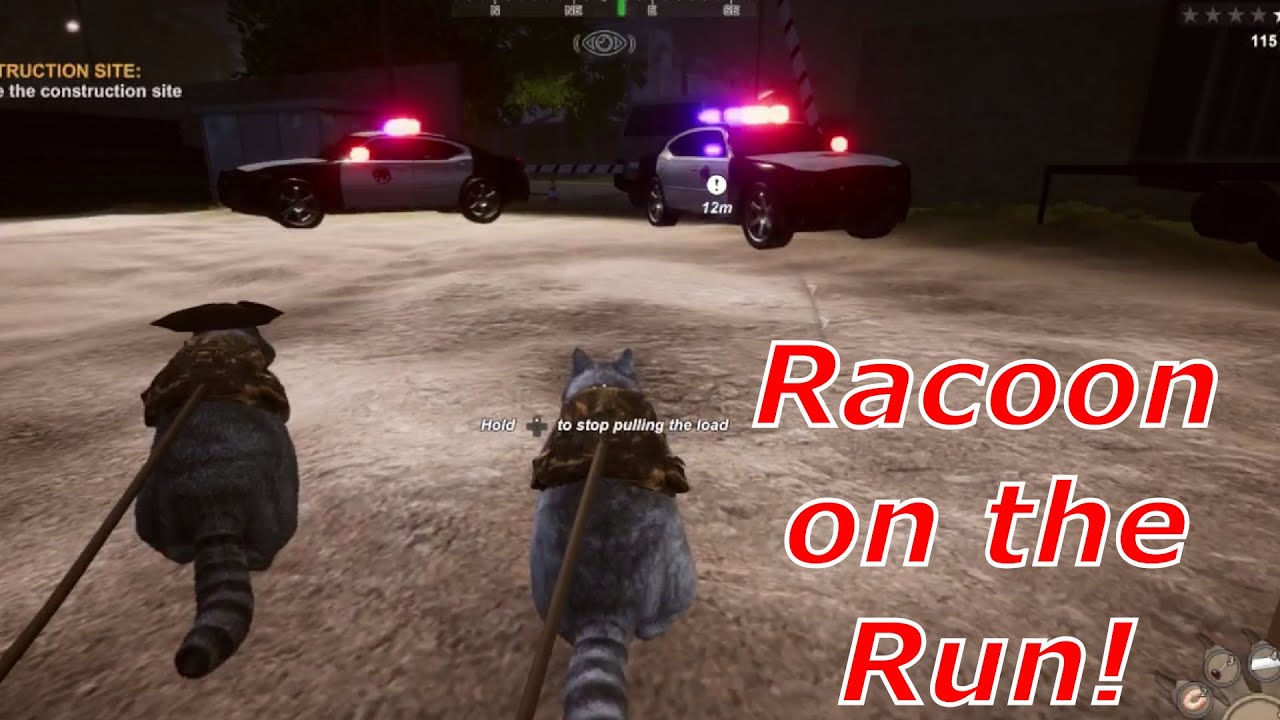 Racon on the Run! | Wanted Racoon - YouTube