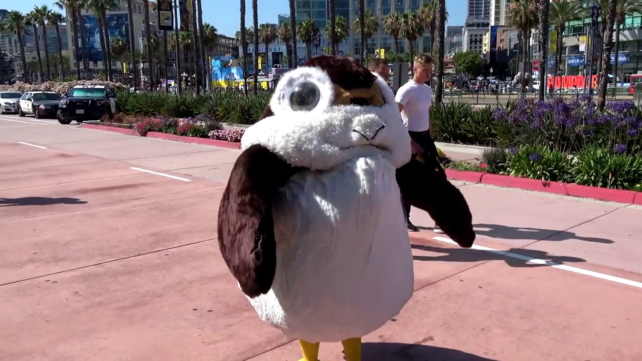 The porg dance in reverse works with any song - YouTube