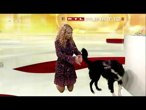 Katja Burkard sehr tierlieb 30.08.2018