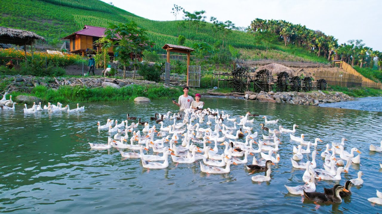 SANG VY FARM in a FLOOD! Rescuing DUCKS and Growing GARDEN! - YouTube