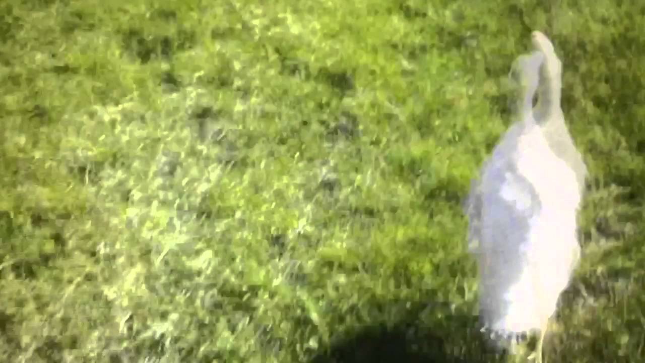 Top 10 Anime Chase Scenes - YouTube