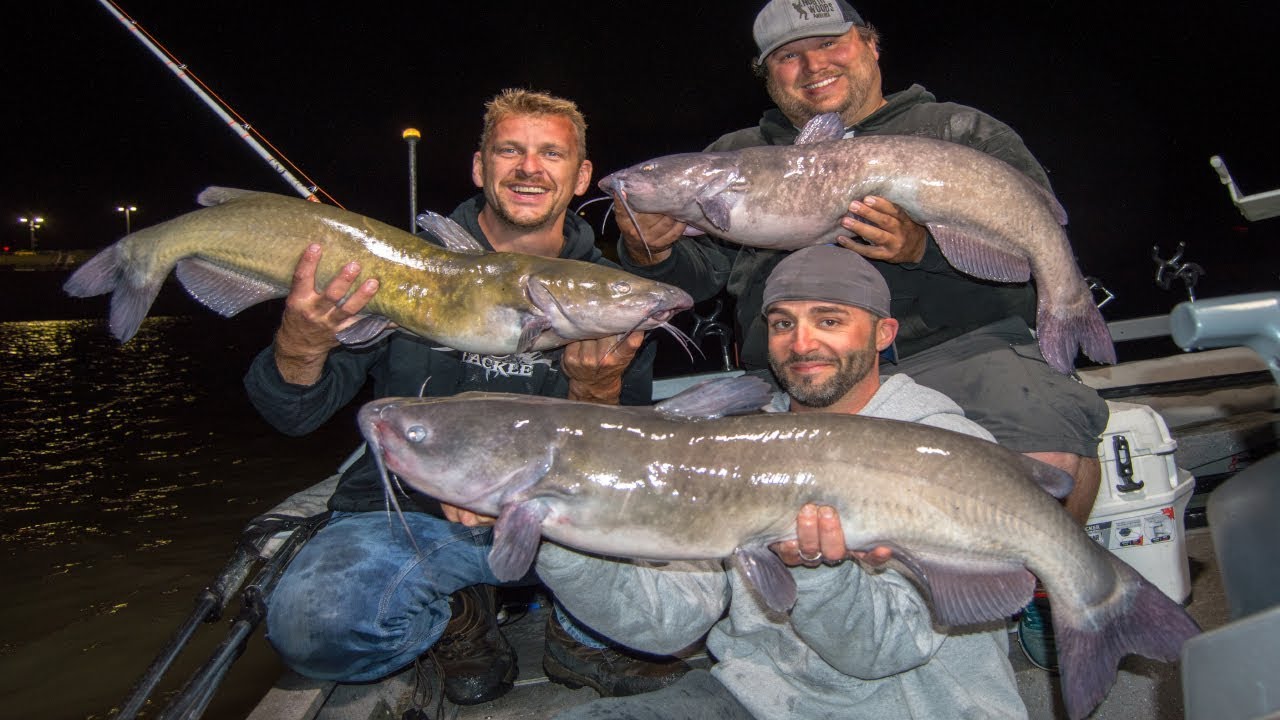 Fishing a HUGE DAM for MONSTER FISH - PART 2 - CATFISHING - YouTube