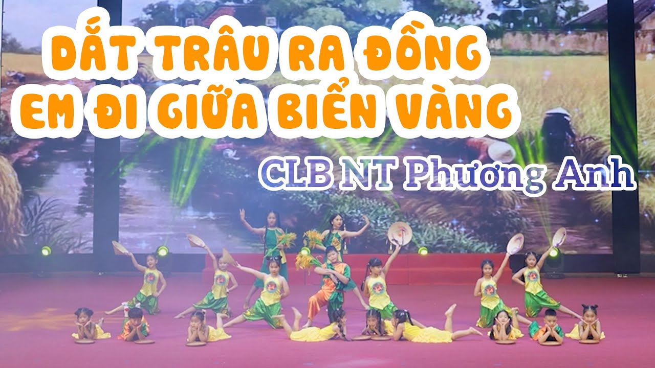 Dắt Trâu Ra Đồng - Em Đi Giữa Biển Vàng | Câu lạc bộ nghệ thuật Phương ...