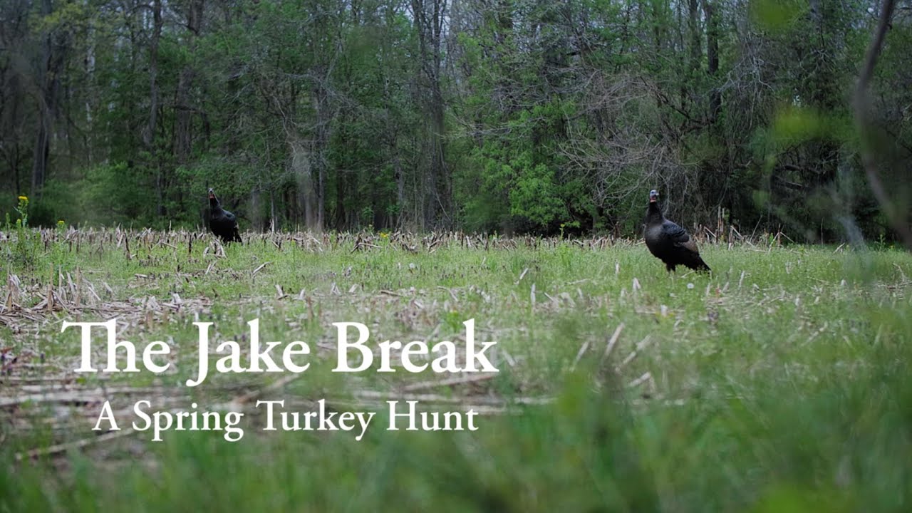 The Jake Break. A Spring Turkey Hunt - YouTube