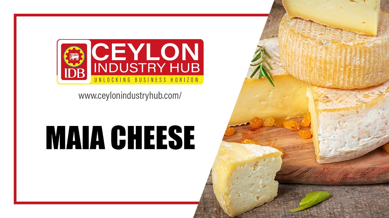 Maia Cheese - YouTube