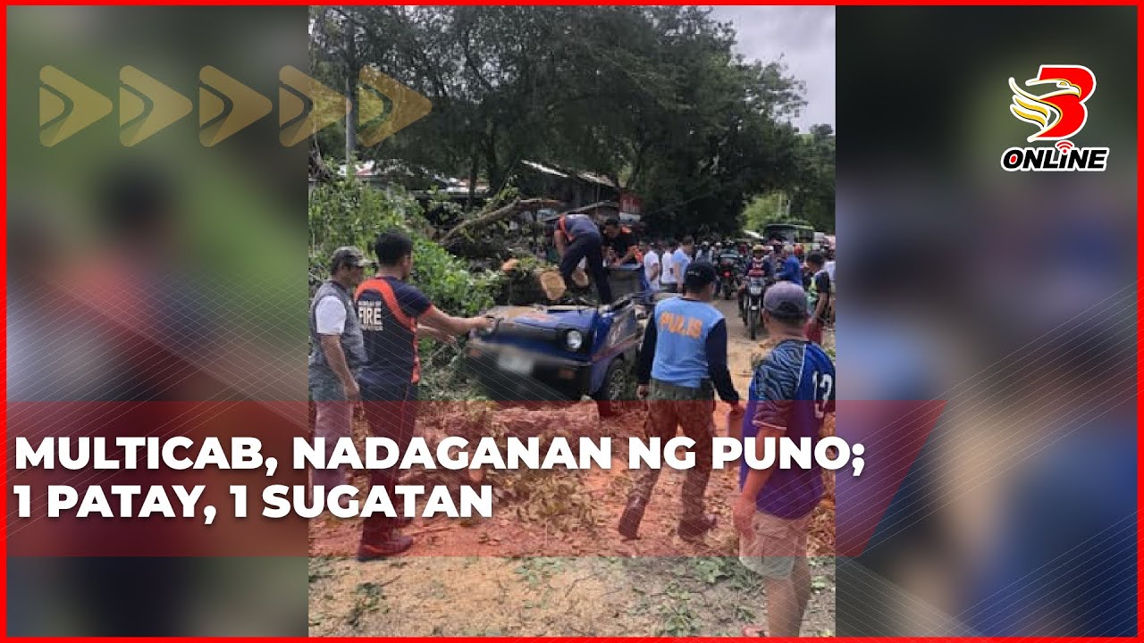 Multicab, nadaganan ng puno; 1 patay, 1 sugatan - YouTube