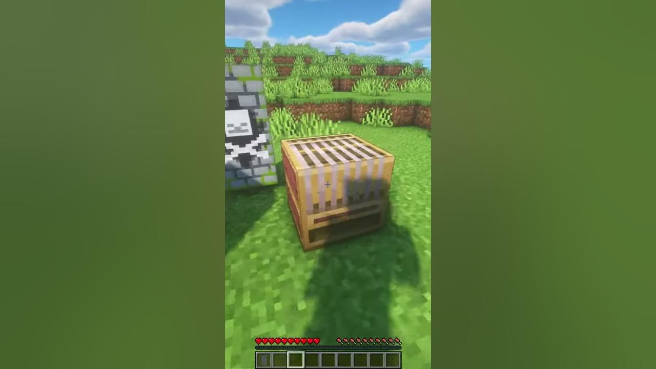 How To Build A SKULL BANNER In Minecraft Decoration Shorts YouTube how-to-build-a-skull-banner-in-minecraft-decoration-shorts-youtube