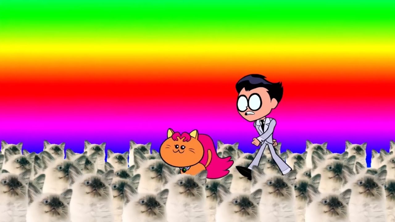Preview 2 Numa Cats Extended^2 || Effects - YouTube