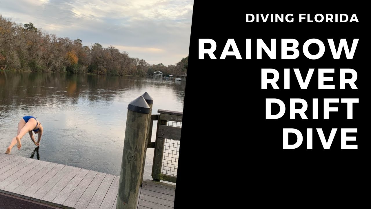 Diving Florida: Rainbow River Drift Dive December 2019 - YouTube