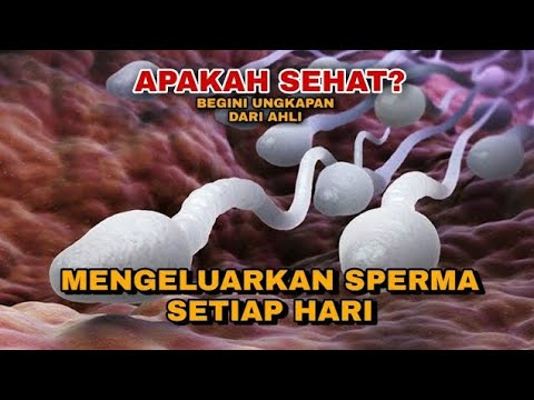 MENGELUARKAN SP3RMA SETIAP HARI APAKAH SEHAT - YouTube
