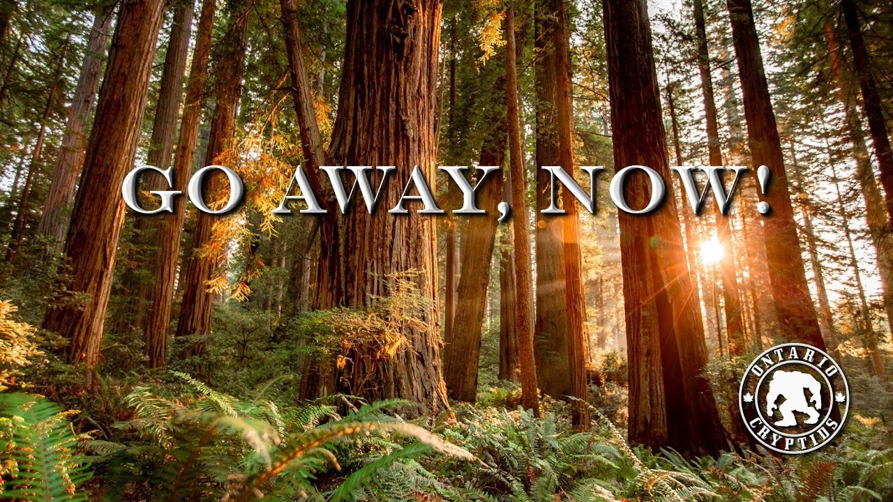 Go Away, Now! [EP-114] - YouTube