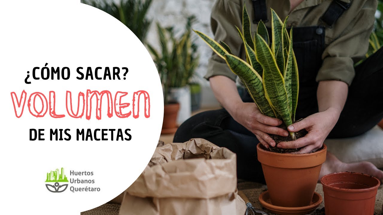 FÓRMULA para SACAR el VOLUMEN en tus MACETAS 🪴📏 (LITROS DE MI MACETA ...