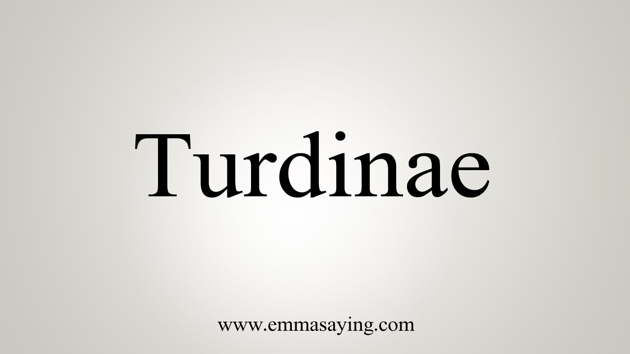 How To Say Turdinae - YouTube