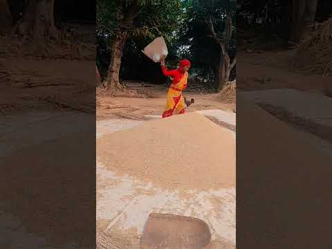 aami gramer manush... #villagelife #shortvideo - YouTube