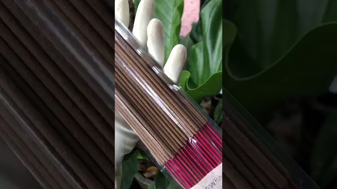 Dupa stick dari kayu gaharu type east kalimantan - aroma surga - YouTube