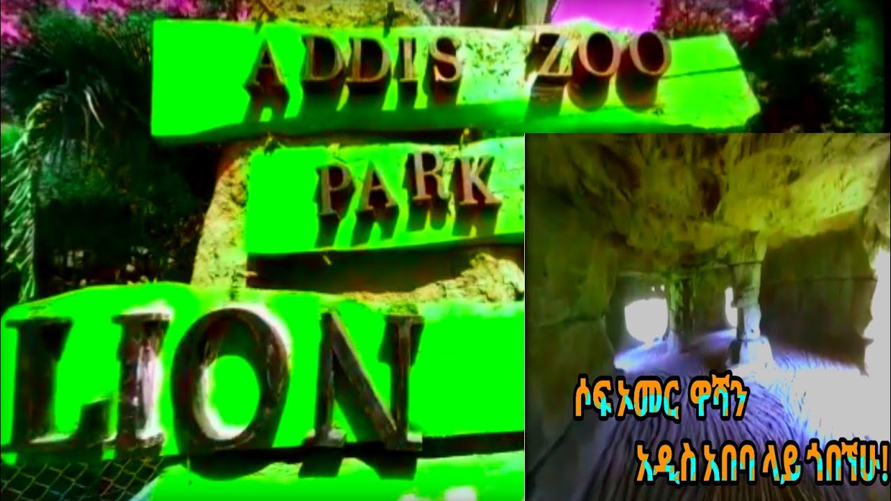 ፒኮክ መናፈሻ | አዲስ ዙ ፓርክ | Addis Zoo Peacock Park | Addis Ababa 🇪🇹 ...
