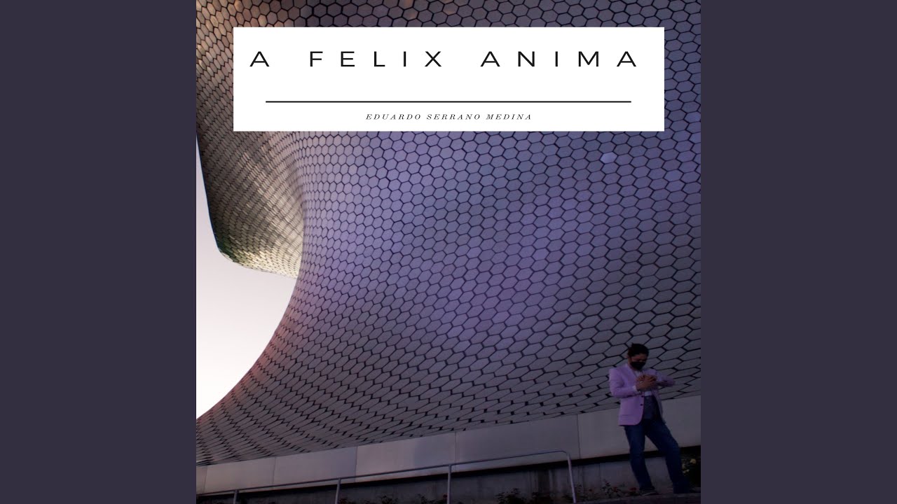 A FELIX ANIMA (Radio Edit) - YouTube