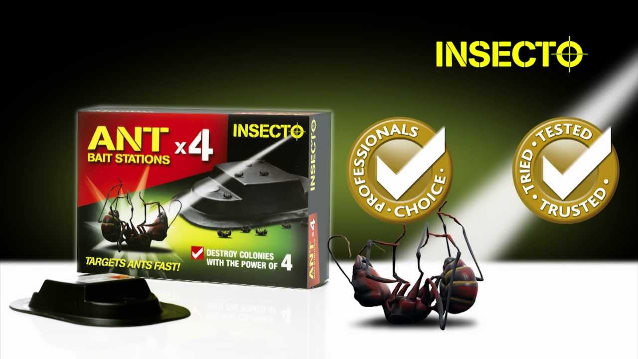Insecto Ant Bait Station - YouTube